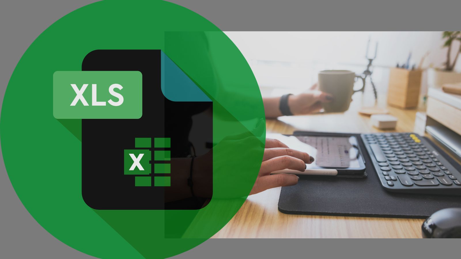 Move Excel Sheets to New Workbooks with ease - Professional Updates